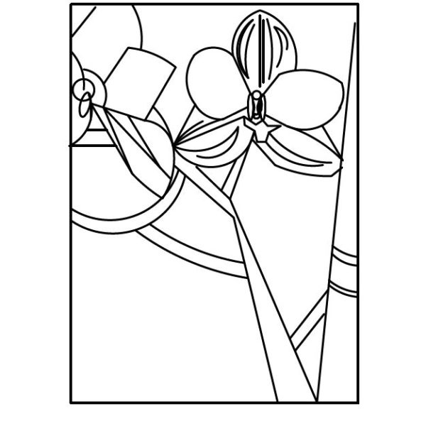 Digital Designs & Renderings 2D, 3D Software | Jenny S.W. Lee