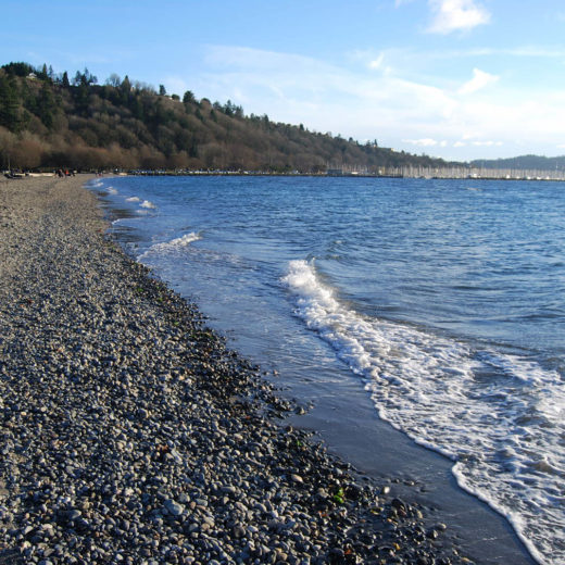 Finding The Allure In Bedraggled Seattle, And During COVID-19 Pandemic ...